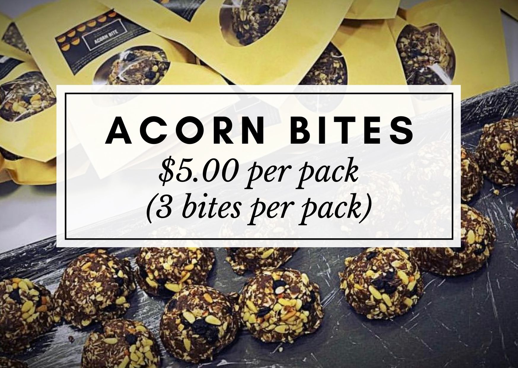 Acorn Bites – Delicious, nutritious and indigenous energy bites made ...